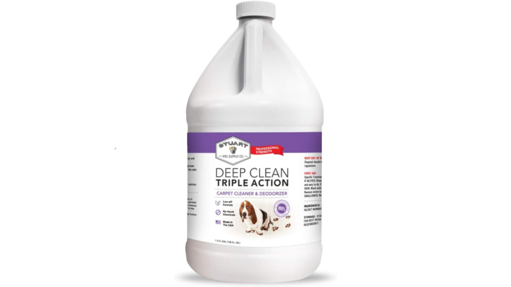 Best Carpet Cleaning Solution: Top 6 Options for 2025